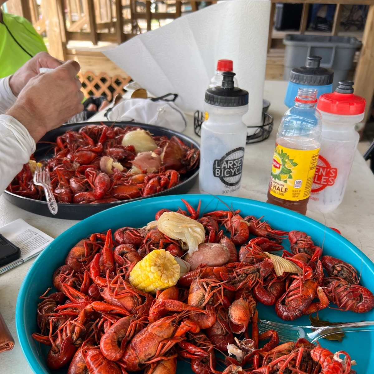 Bridges, Bayous, Crawfish or…(The good, the bad and the ugly) – cinnicrew